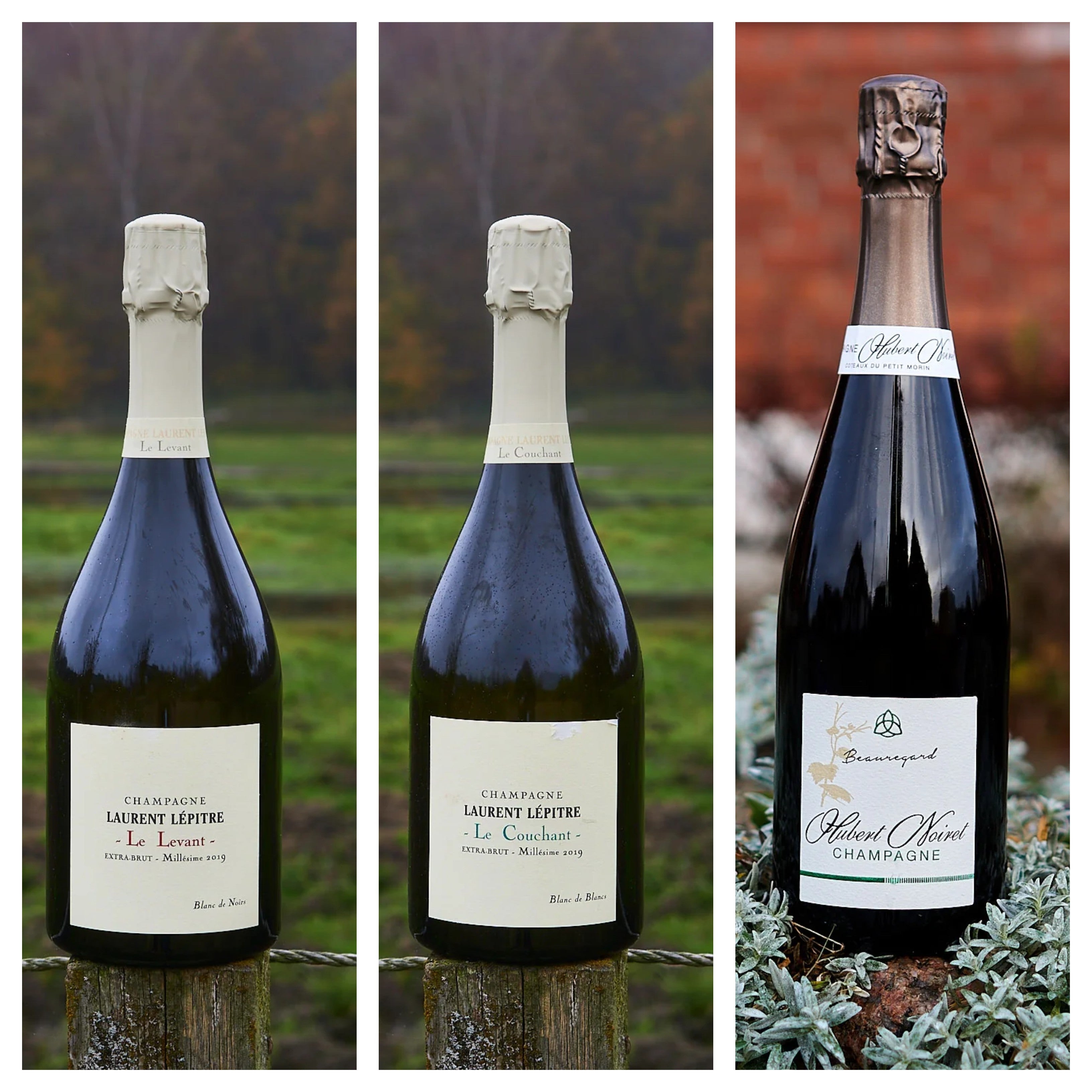 Champagne bundle 2025/2026 – Vinifikant ApS